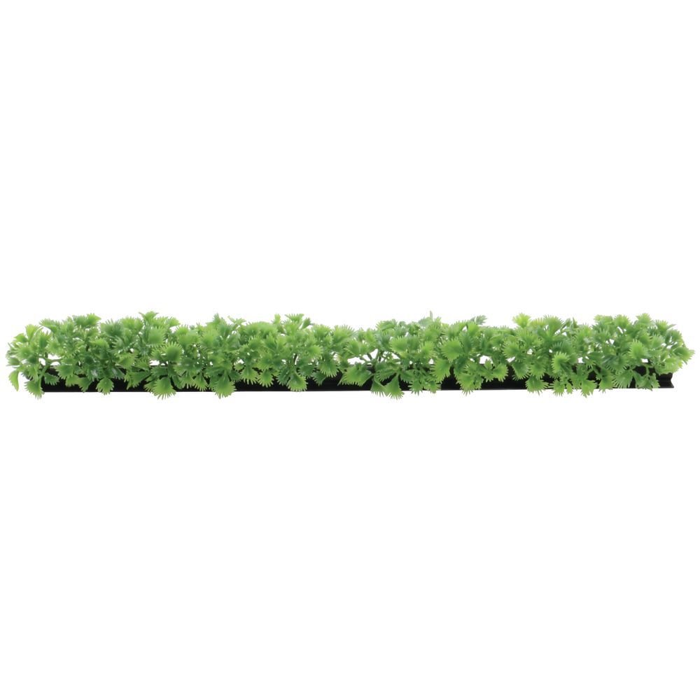 Dalebrook Green Luxury Parsley Divider with Black Base - 19 1/2"L x 2 1/8"H