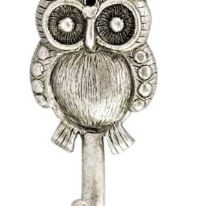 Small Owl Wall Hook, Set of 3, Silver HK-618AS