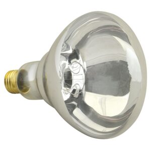 fmp clear glass 250 watt uncoated food warming bulb