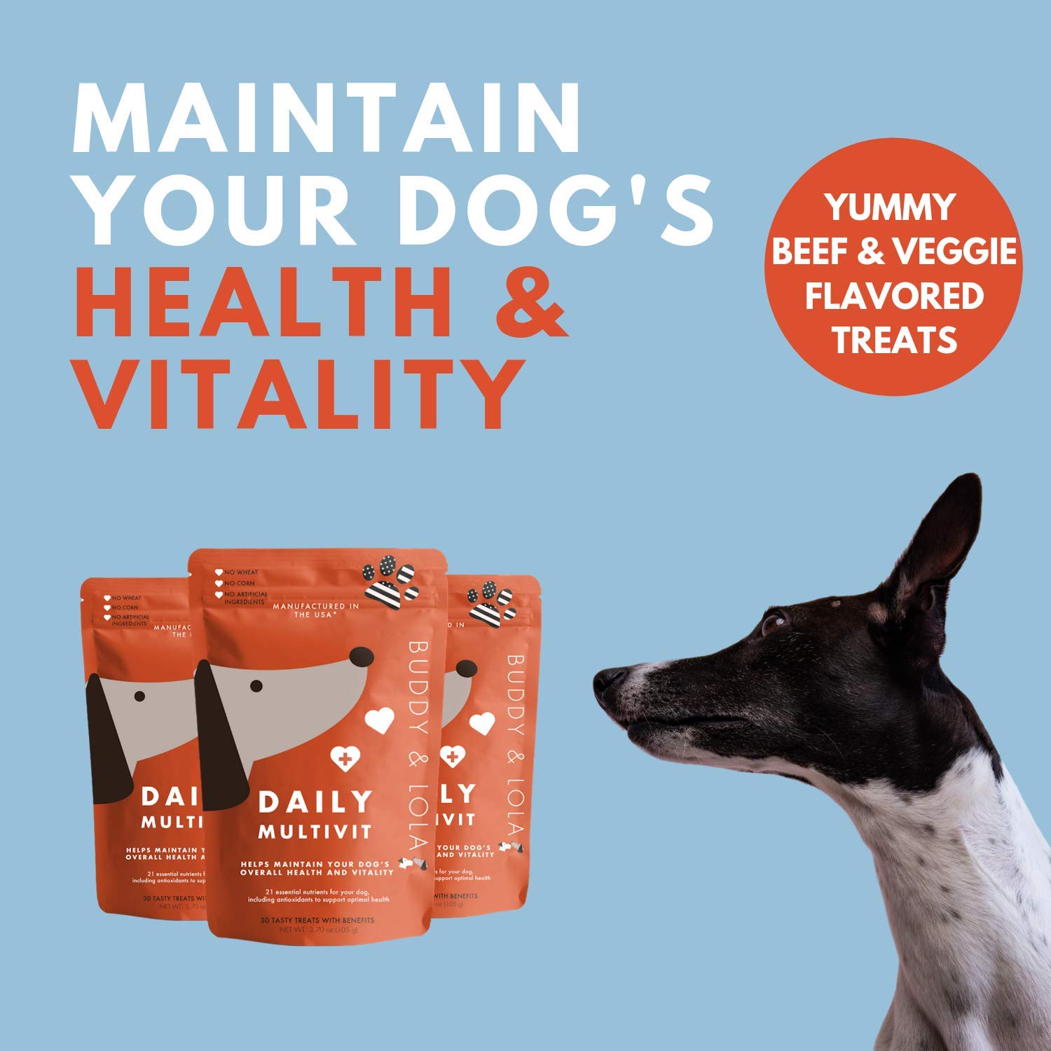 Multivitamin Chews Treats for Dogs - Daily Dog Vitamins - Great Nutrition for Picky Eaters, Dogs Love Them