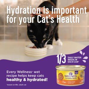 Wellness Complete Health Gravies Natural Grain Free Wet Canned Cat Food, Salmon Entree in Ample Gravy, 5.5 Ounces (Pack of 12)