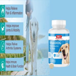 VitaliDOG Multivitamin for Dogs, Skin and Coat Supplement, Dog Prenatal Health Supplies, Vitamin A + E + B9 + B5 + H + Biotin + Amino Acids + Folic Acid for Dogs, 150 Chewable Tablets