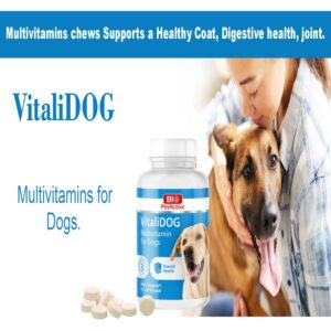 VitaliDOG Multivitamin for Dogs, Skin and Coat Supplement, Dog Prenatal Health Supplies, Vitamin A + E + B9 + B5 + H + Biotin + Amino Acids + Folic Acid for Dogs, 150 Chewable Tablets