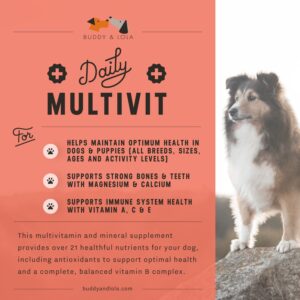 Multivitamin Chews Treats for Dogs - Daily Dog Vitamins - Great Nutrition for Picky Eaters, Dogs Love Them