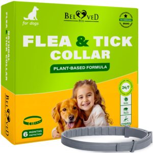 natural flea & tick collar for dogs - 6 months control of best prevention & safe treatment - anti fleas and ticks essential oil repellent (1 count (pack of 1))