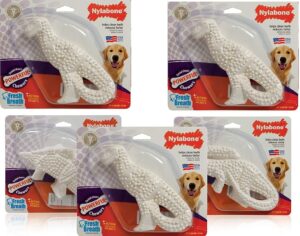 nylabone 5 pack of power chew dental dinosaur, regular, assorted shapes