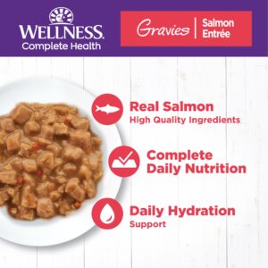 Wellness Complete Health Gravies Natural Grain Free Wet Canned Cat Food, Salmon Entree in Ample Gravy, 5.5 Ounces (Pack of 12)