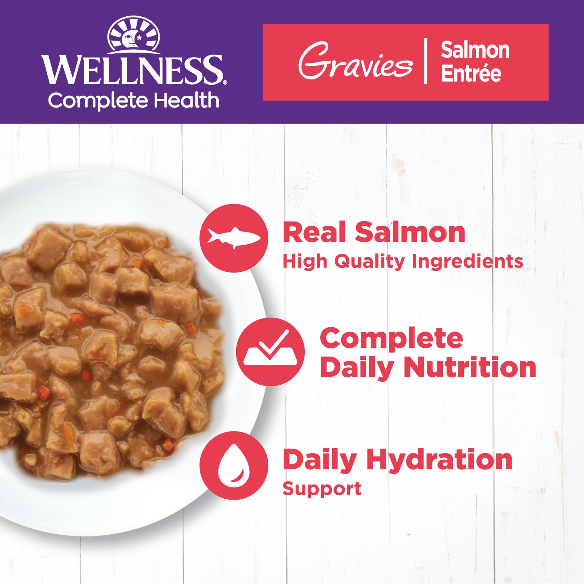 Wellness Complete Health Gravies Natural Grain Free Wet Canned Cat Food, Salmon Entree in Ample Gravy, 5.5 Ounces (Pack of 12)