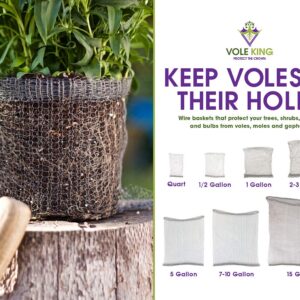 VOLE KING Plant Baskets - Gopher and Vole Baskets, 15 Gallon, Pack of 1 - Protect Plants, Trees, Flowers and Bulbs from Voles, Gophers and Moles - A One Time Solution, No Repellent Needed