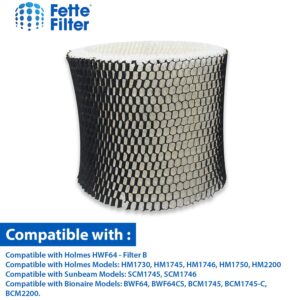 Fette Filter - HWF-64 Humidifier Filter B Wick Replacement Compatible with Holmes HWF64 Filter B for models HM-1645 HM-1730 HM-1745 HM-1750 HM-2200 & Bionaire BWF-64 includes 2 QTY.