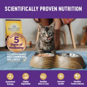 Wellness Complete Health Gravies Natural Grain Free Wet Canned Cat Food, Salmon Entree in Ample Gravy, 5.5 Ounces (Pack of 12)