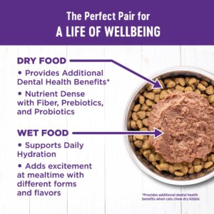 Wellness Complete Health Gravies Natural Grain Free Wet Canned Cat Food, Salmon Entree in Ample Gravy, 5.5 Ounces (Pack of 12)