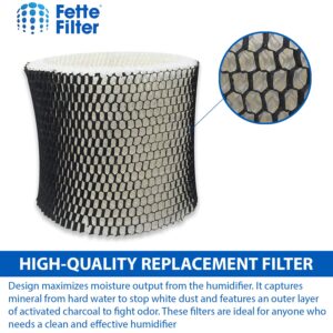 Fette Filter - HWF-64 Humidifier Filter B Wick Replacement Compatible with Holmes HWF64 Filter B for models HM-1645 HM-1730 HM-1745 HM-1750 HM-2200 & Bionaire BWF-64 includes 2 QTY.