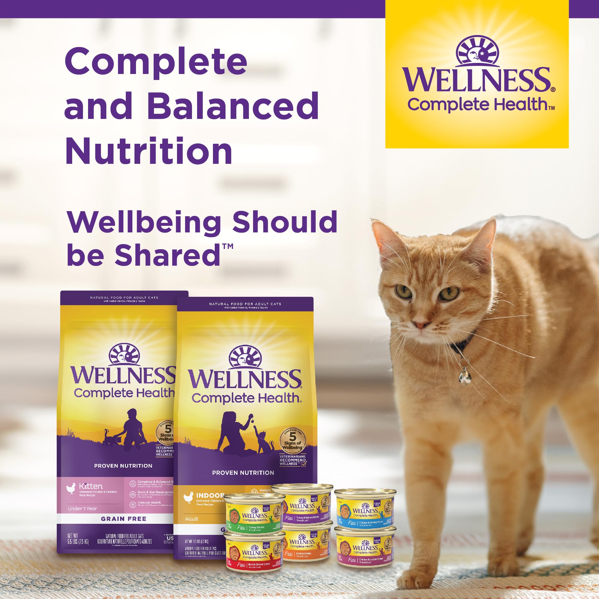 Wellness Complete Health Gravies Natural Grain Free Wet Canned Cat Food, Salmon Entree in Ample Gravy, 5.5 Ounces (Pack of 12)