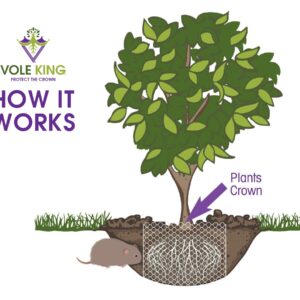 VOLE KING Plant Baskets - Gopher and Vole Baskets, 15 Gallon, Pack of 1 - Protect Plants, Trees, Flowers and Bulbs from Voles, Gophers and Moles - A One Time Solution, No Repellent Needed