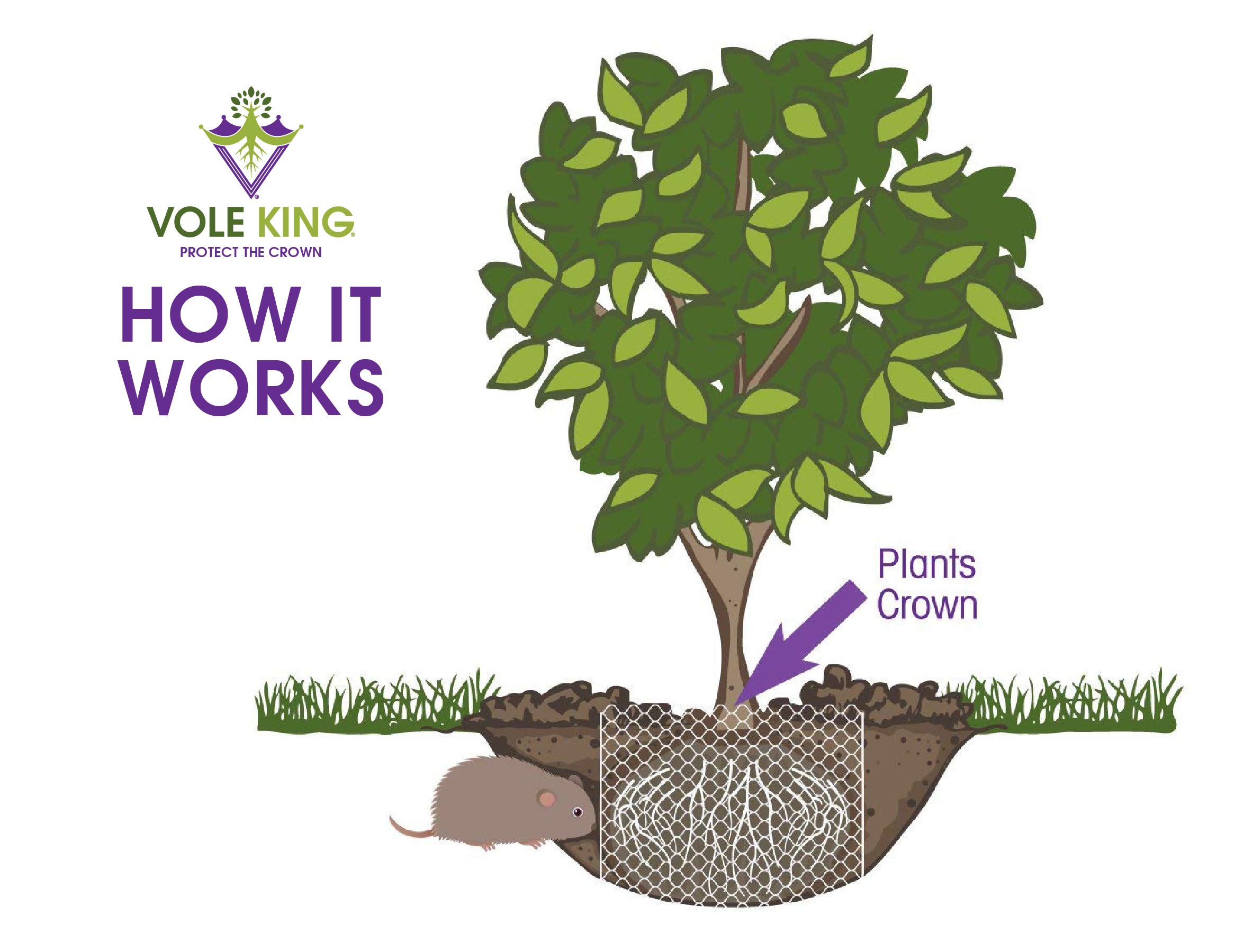 VOLE KING Plant Baskets - Gopher and Vole Baskets, 15 Gallon, Pack of 1 - Protect Plants, Trees, Flowers and Bulbs from Voles, Gophers and Moles - A One Time Solution, No Repellent Needed