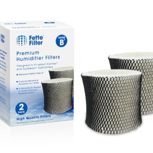 Fette Filter - HWF-64 Humidifier Filter B Wick Replacement Compatible with Holmes HWF64 Filter B for models HM-1645 HM-1730 HM-1745 HM-1750 HM-2200 & Bionaire BWF-64 includes 2 QTY.