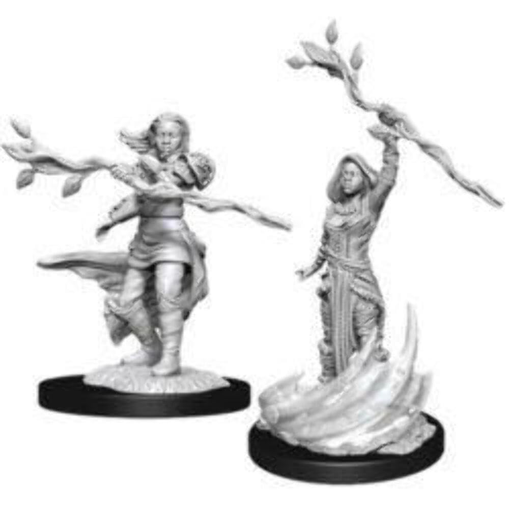 D&d Nolzur?s Marvelous Unpainted Minis: Human Female Wizard