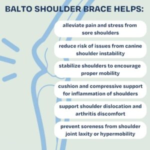 Balto Lux Adjustable Dog Shoulder Brace – Shoulder Brace – Support Shoulder dysplasia – Post Surgical Support or Surgical Alternative (Small)