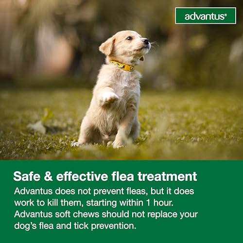 Advantus Dog Advantus Chewable Flea Treatment for Dogs 4 - 22 lbs. | 7 ct.