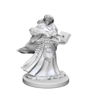 d&d nolzur?s marvelous unpainted minis: human female wizard