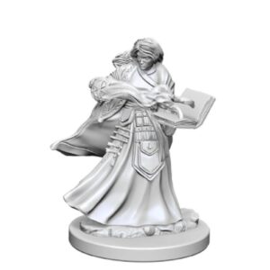 D&d Nolzur?s Marvelous Unpainted Minis: Human Female Wizard