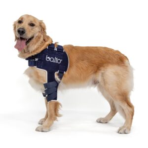 balto lux adjustable dog shoulder brace – shoulder brace – support shoulder dysplasia – post surgical support or surgical alternative (small)