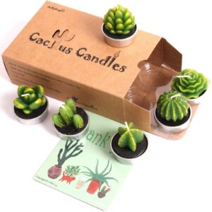 aixiang 6 styles cactus tealights candle delicate succulent tealight candles for home decor new year presents, housewarming gifts, housewarming favors for guests, christmas decorations (6 pcs)