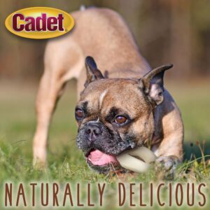 Cadet Premium Grade Beef Hide Donut for Dogs Donut Original 4"