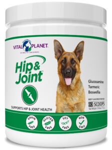 vital planet - hip and joint support powder supplement for dogs, with glucosamine, turmeric, boswellia, msm, and collagen from green-lipped mussel - beef flavored powder, 60 scoops, 111 grams