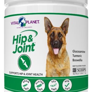 Vital Planet - Hip and Joint Support Powder Supplement for Dogs, with Glucosamine, Turmeric, Boswellia, MSM, and Collagen from Green-Lipped Mussel - Beef Flavored Powder, 60 Scoops, 111 Grams