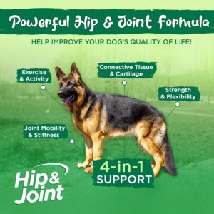 Vital Planet - Hip and Joint Support Powder Supplement for Dogs, with Glucosamine, Turmeric, Boswellia, MSM, and Collagen from Green-Lipped Mussel - Beef Flavored Powder, 60 Scoops, 111 Grams