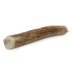 Ranch Rewards ELK Antler Dog Dental Chews Natural Way to Clean Your Dog's Teeth Bulk Too!(Small - 4" to 5" Antlers)