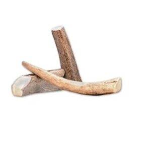 Ranch Rewards ELK Antler Dog Dental Chews Natural Way to Clean Your Dog's Teeth Bulk Too!(Small - 4" to 5" Antlers)