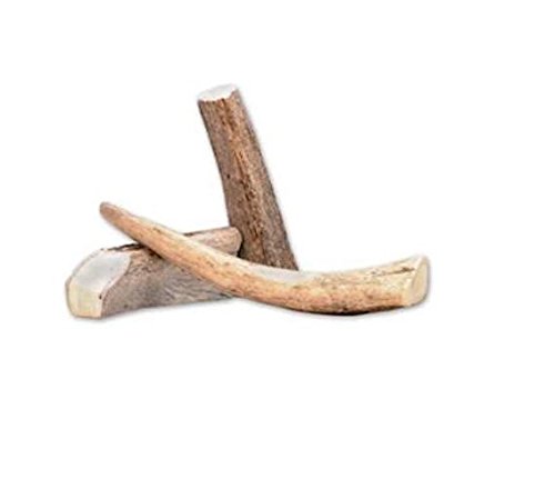 Ranch Rewards ELK Antler Dog Dental Chews Natural Way to Clean Your Dog's Teeth Bulk Too!(Small - 4" to 5" Antlers)