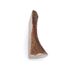 Ranch Rewards ELK Antler Dog Dental Chews Natural Way to Clean Your Dog's Teeth Bulk Too!(Small - 4" to 5" Antlers)