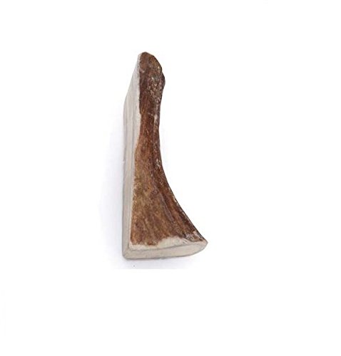 Ranch Rewards ELK Antler Dog Dental Chews Natural Way to Clean Your Dog's Teeth Bulk Too!(Small - 4" to 5" Antlers)