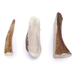 Ranch Rewards ELK Antler Dog Dental Chews Natural Way to Clean Your Dog's Teeth Bulk Too!(Small - 4" to 5" Antlers)