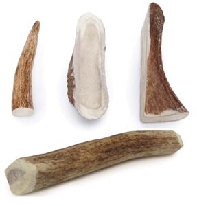 ranch rewards elk antler dog dental chews natural way to clean your dog's teeth bulk too!(small - 4" to 5" 2 antlers)