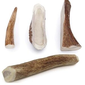 Ranch Rewards ELK Antler Dog Dental Chews Natural Way to Clean Your Dog's Teeth Bulk Too!(Small - 4" to 5" Antlers)