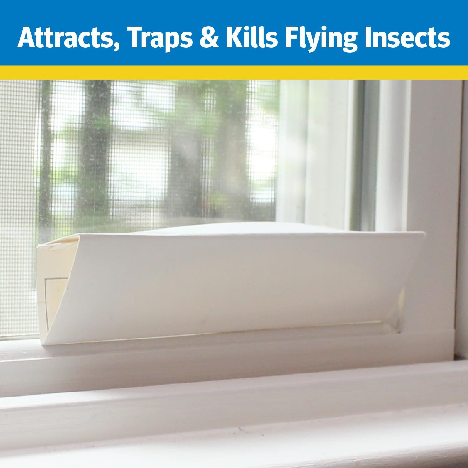 Raid Fly Traps, 2 Count (Pack of 12)