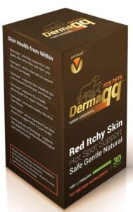 animal v, inc dermaqq dog & cat hot spots, hair loss, dermatitis support