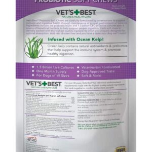 (3 Pack) Vet's Best Probiotic Soft Chews Dog Supplements, Each a 30 Day Supply3