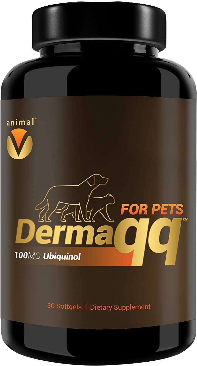 animal V, Inc Dermaqq HIGH Absorption Ubiquinol (QH) - CoQ10 for Dog and Cat Hot Spots, Hair Loss, Dermatitis Support for Relief of Itchy, Dry and Irritated Skin