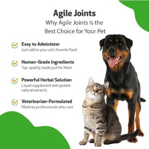 Pet Wellbeing Agile Joints for Dogs - Hip and Joint Health, Mobility, Devil’s Claw, Boswellia, Joint Ligament and Cartilage - Veterinarian-Formulated Herbal Supplement 4 oz (118 ml)