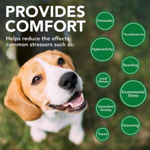 VETS BEST COMFORT CALM SOFT CHEW