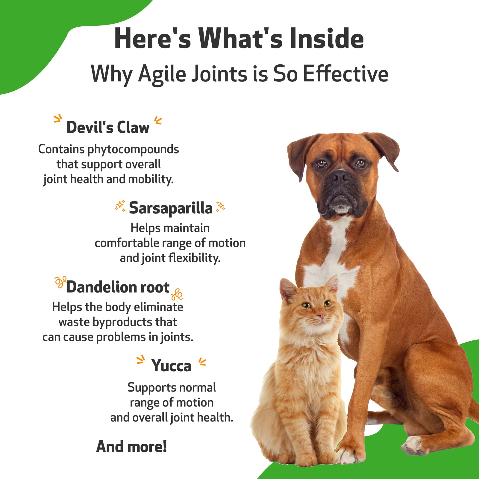 Pet Wellbeing Agile Joints for Dogs - Hip and Joint Health, Mobility, Devil’s Claw, Boswellia, Joint Ligament and Cartilage - Veterinarian-Formulated Herbal Supplement 4 oz (118 ml)