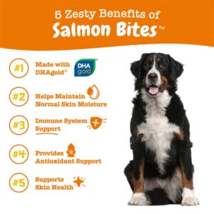 Zesty Paws Salmon Bites for Dogs - Omega 3 Fish Oil for Dogs Chews - Dog Allergy Relief Chews - Fish Oil for Dogs Joints - Itch Relief for Dogs - Dog Supplement for Arthritis - 90ct - Salmon Flavor