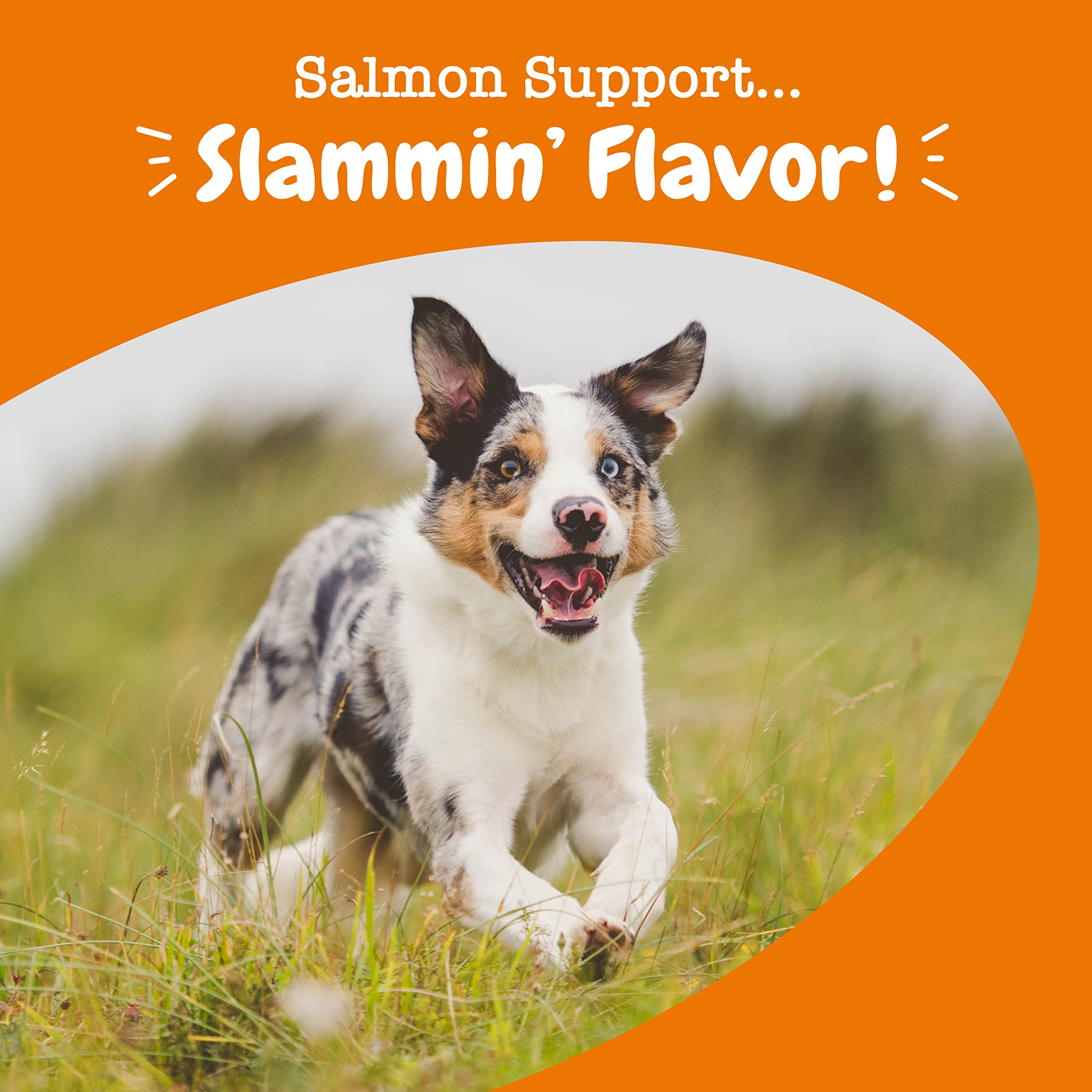 Zesty Paws Salmon Bites for Dogs - Omega 3 Fish Oil for Dogs Chews - Dog Allergy Relief Chews - Fish Oil for Dogs Joints - Itch Relief for Dogs - Dog Supplement for Arthritis - 90ct - Salmon Flavor