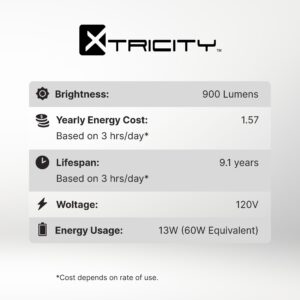 Xtricity Compact Fluorescent Light Bulbs T2 Spiral, E26 Base, 13W (60W Equivalent), 5000k Daylight, 900 Lumens, CFL, 120V - UL Listed, (4 Pack)